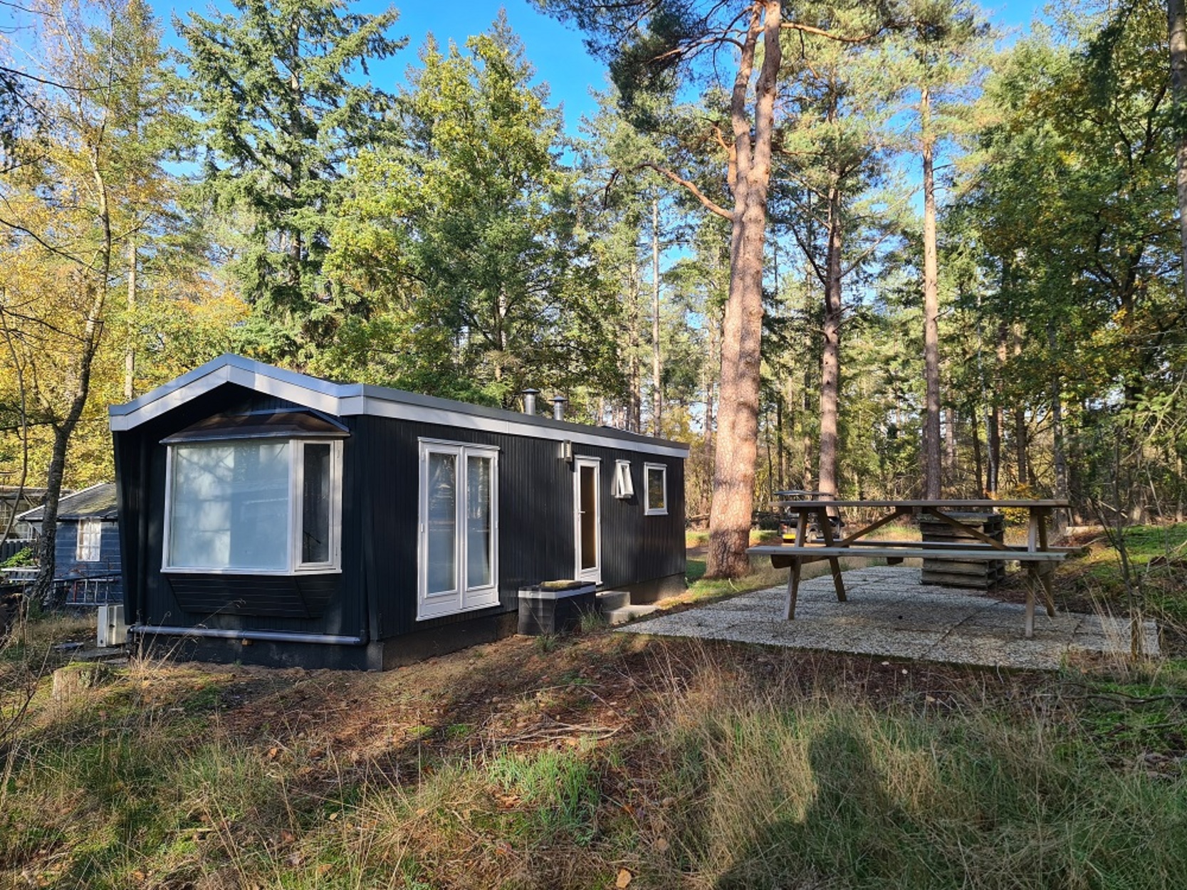 Houten stacaravan op ruime boskavel - Ommerwoud 26 | Jouw Chalet